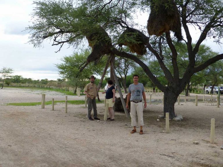 Etoscha Nationalpark – Namibia-Dreams
